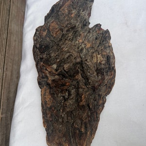 Driftwood Bark, 14x7 , Fresh Water Bark, Art Driftwood, Terrarium Wood ...