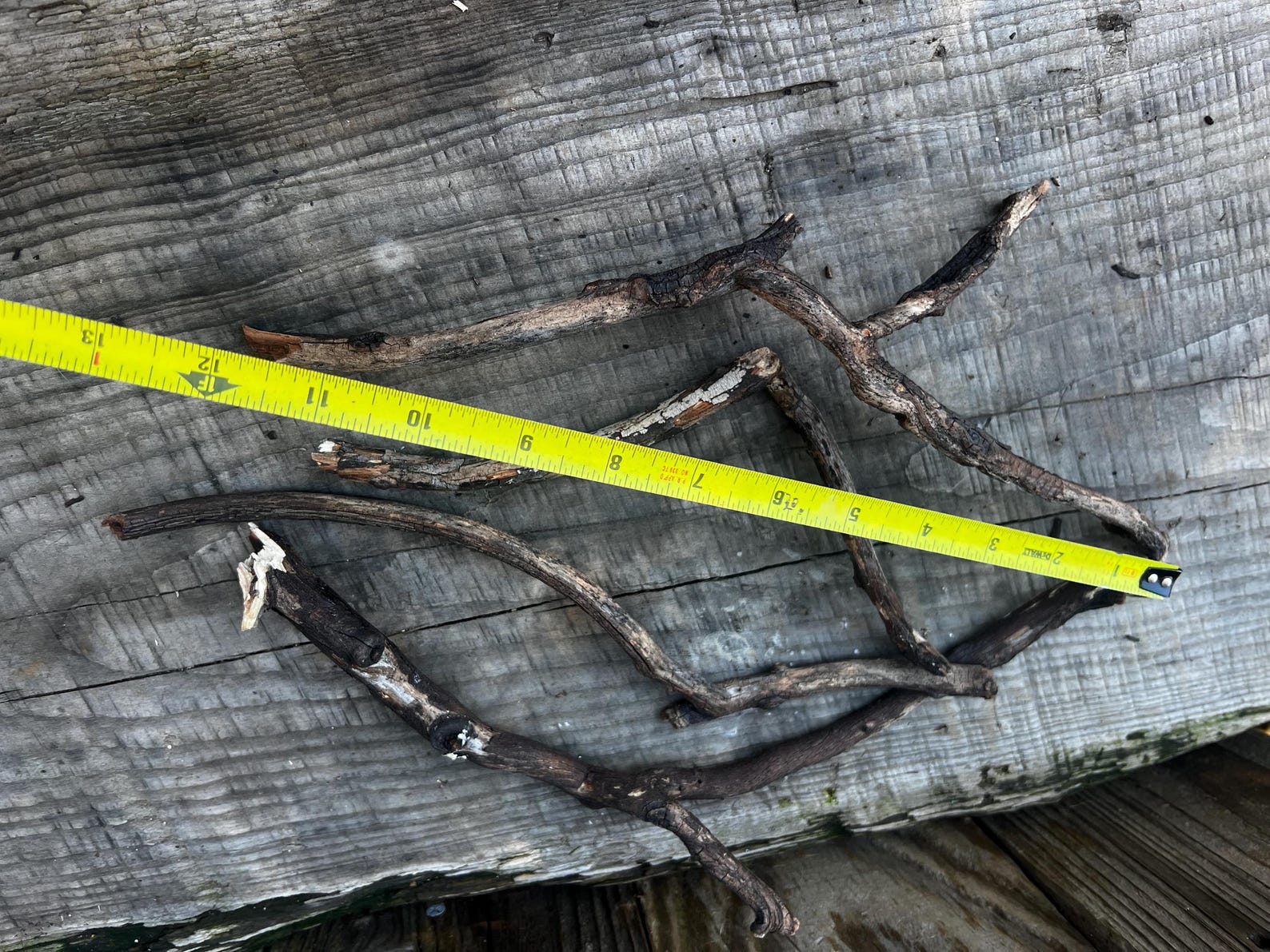 Four Madrone Wood Branches, Curved Sticks, Curved Art Wood, Curved ...