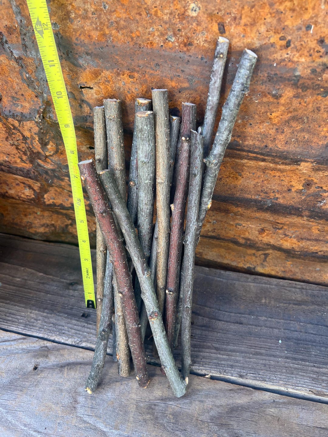 Wild Plum Wood Sticks, 14 Wood Craft Sticks, Nature Craft Wood, Natural ...