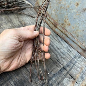 8 Inches Barb Wire, Five Pieces, Vintage Cut Barbed Wire, Fence Wire - Etsy
