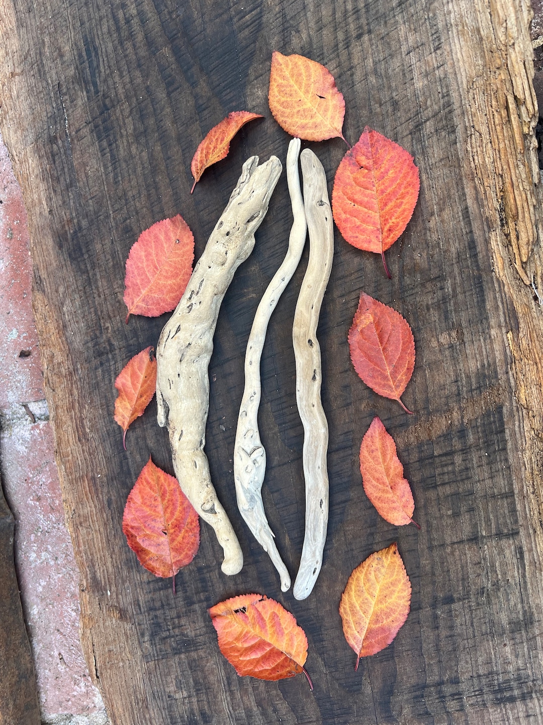 Driftwood Roots, Small Wood Roots, California Driftwood Roots, Root ...