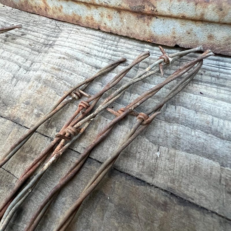 Barb Wire - Etsy