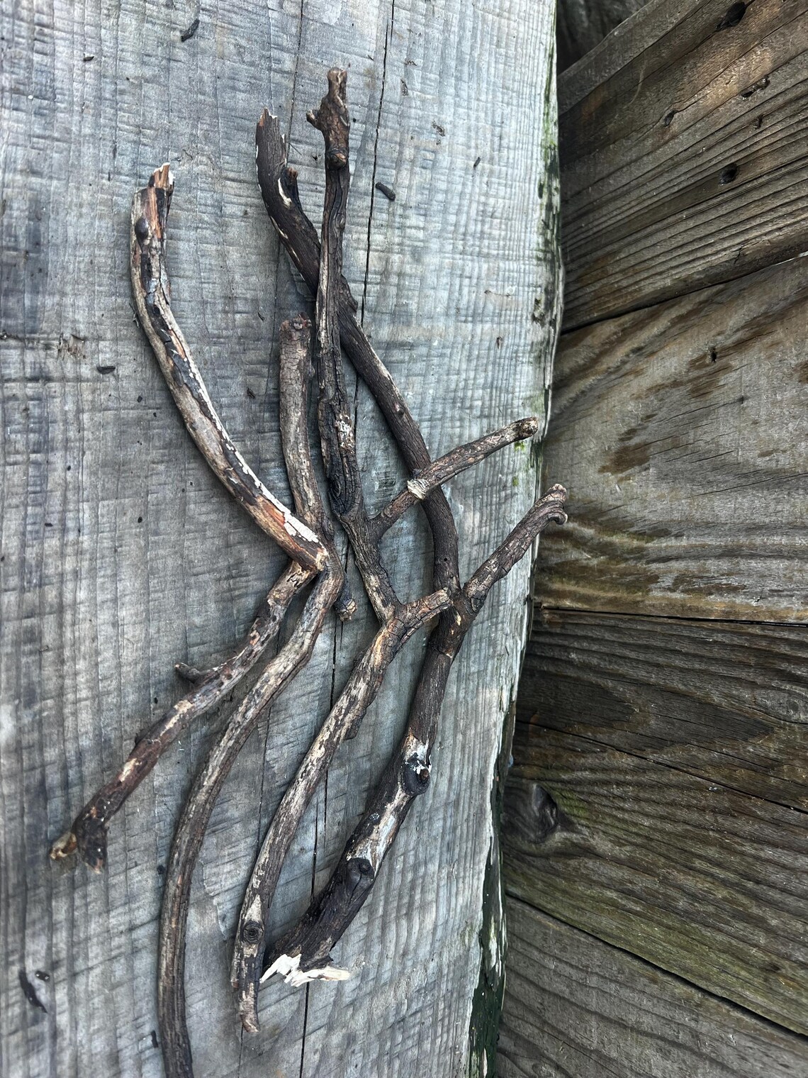 Four Madrone Wood Branches, Curved Sticks, Curved Art Wood, Curved ...