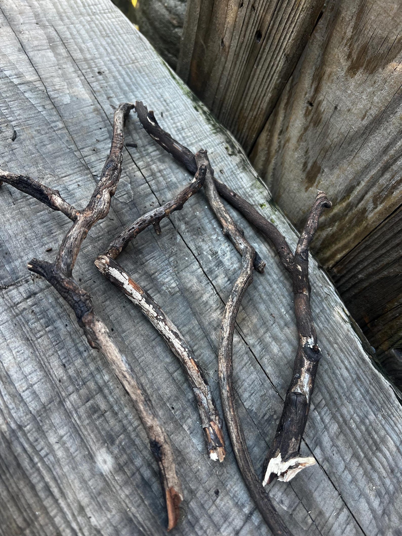 Four Madrone Wood Branches, Curved Sticks, Curved Art Wood, Curved ...