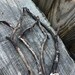 Four Madrone Wood Branches, Curved Sticks, Curved Art Wood, Curved ...
