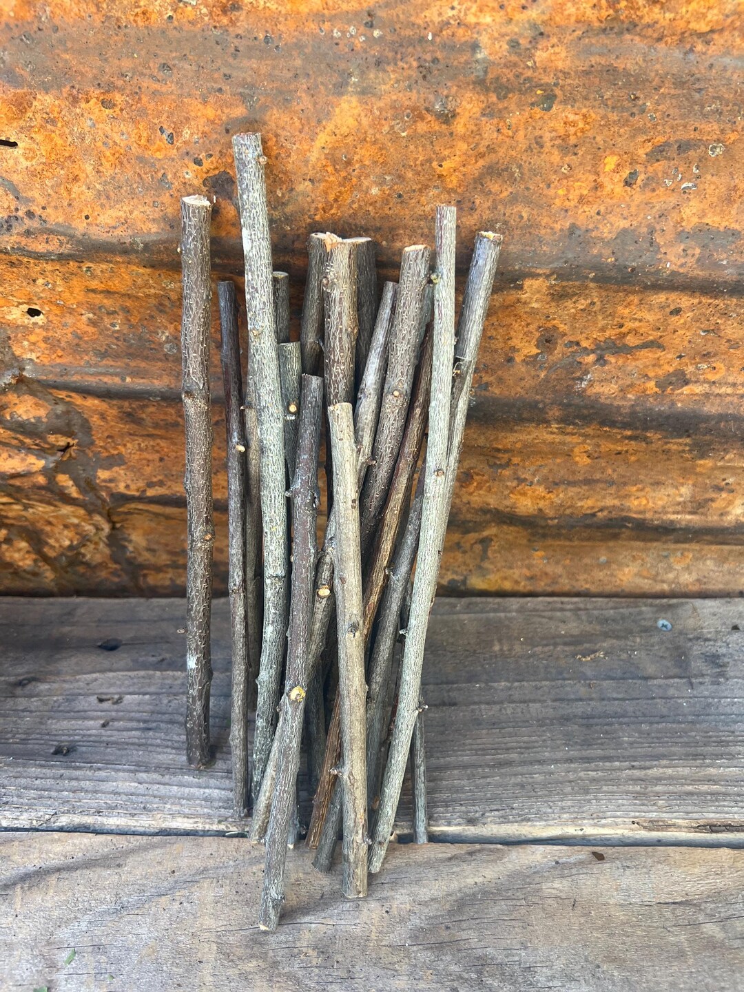 Wild Plum Wood Sticks, 20 Wood Craft Sticks, Nature Craft Wood, Natural ...