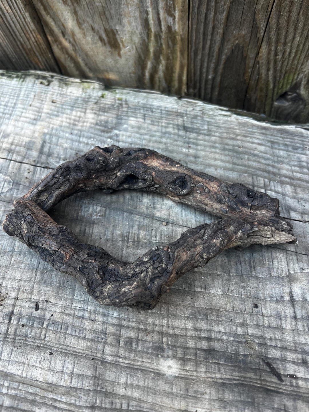 Two Madrone Wood Branches, Curved Sticks, Curved Art Wood, Curved ...