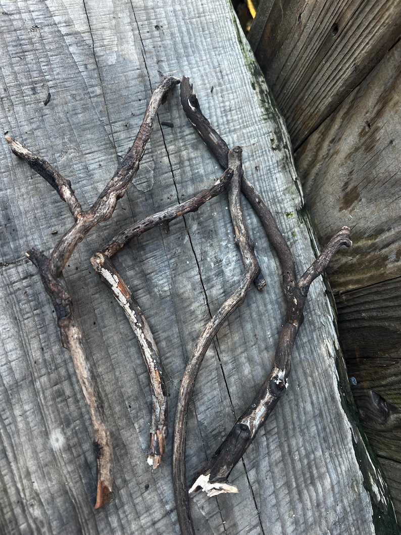 Four Madrone Wood Branches, Curved Sticks, Curved Art Wood, Curved ...
