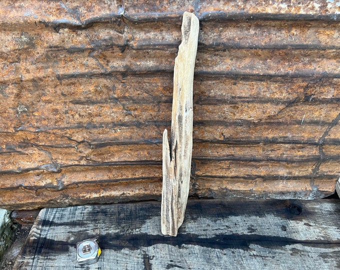 Driftwood Bark, 14”x7” , Fresh Water Bark, Art Driftwood, Terrarium ...