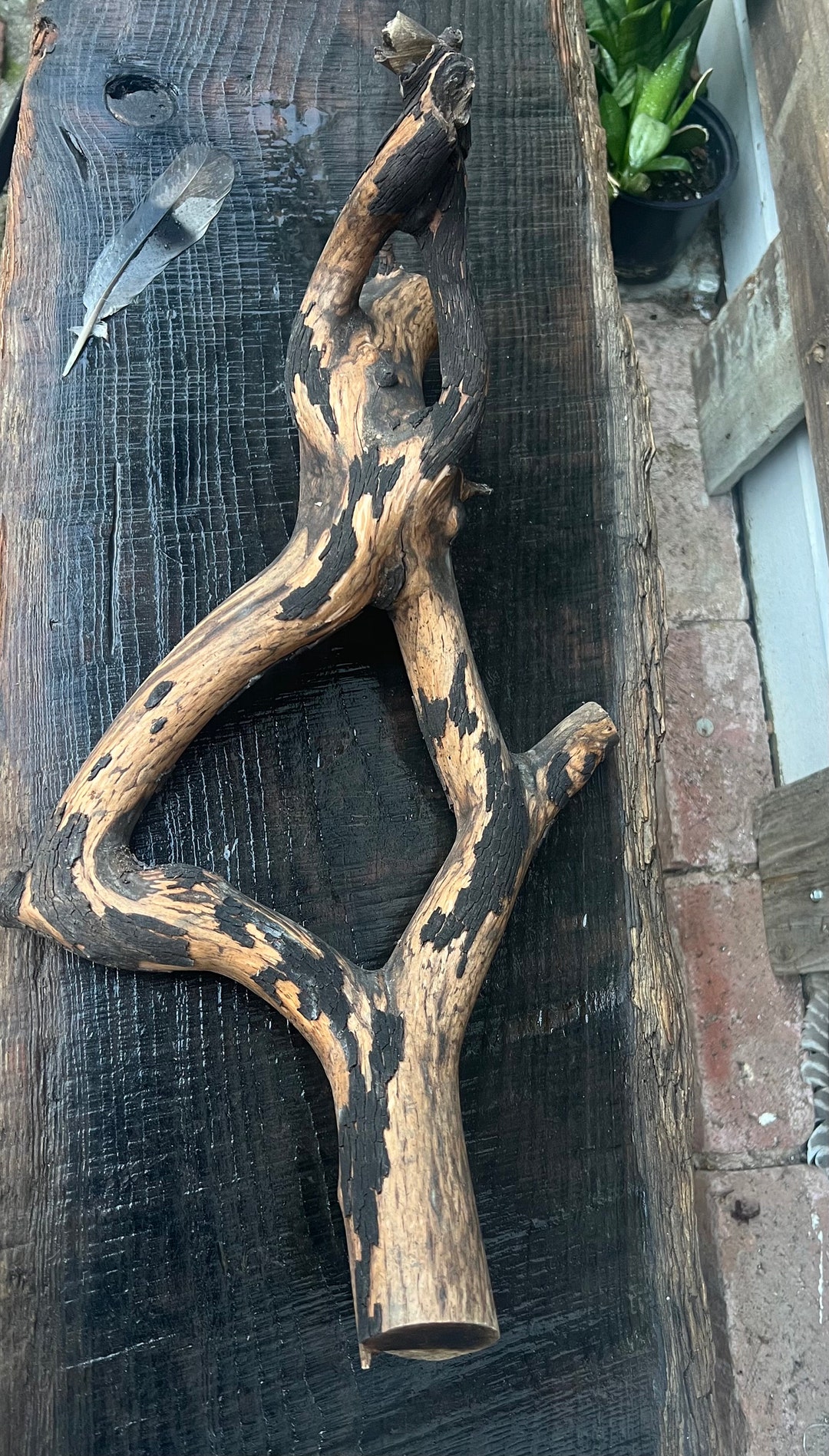 Infinity Madrone Wood, Art Sculpture Wood, Portal Wood, Sacred Wood ...