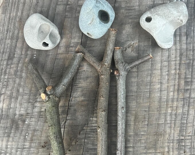 Oak Three Forked Coast Live Oak Sticks, Sacred Wood Sticks, Forked Oak ...