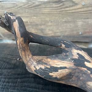 Infinity Madrone Wood, Art Sculpture Wood, Portal Wood, Sacred Wood ...