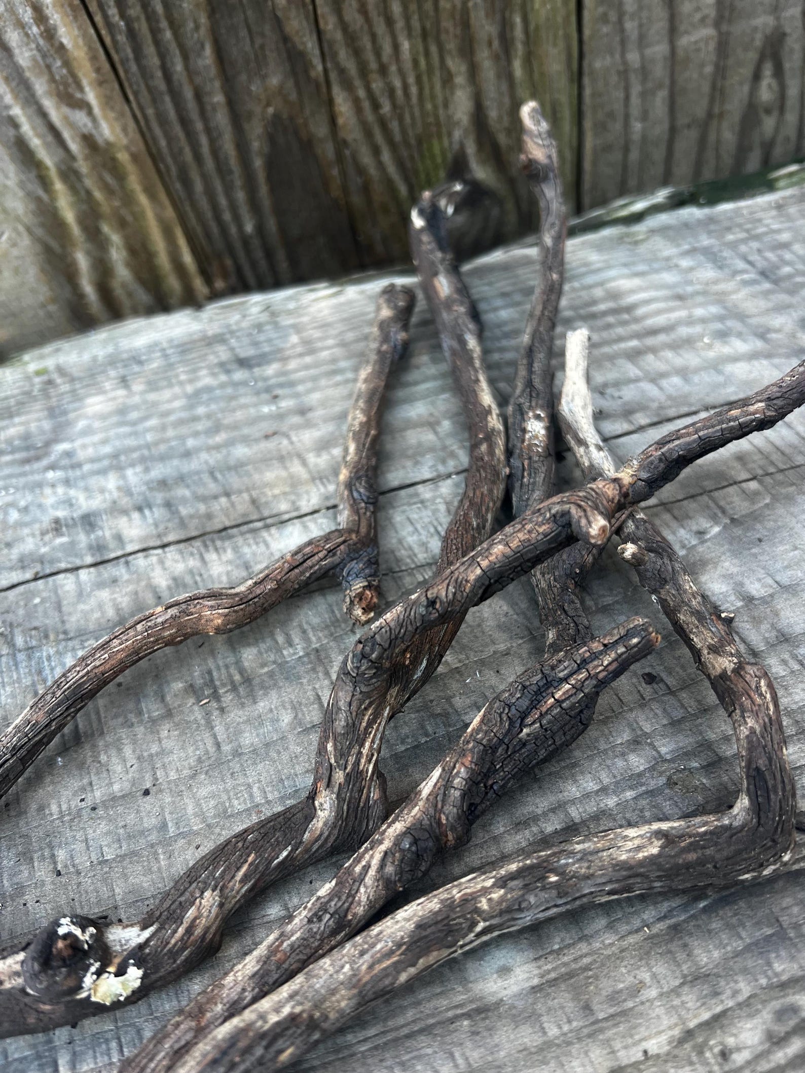 Four Madrone Wood Branches, Curved Sticks, Curved Art Wood, Curved ...