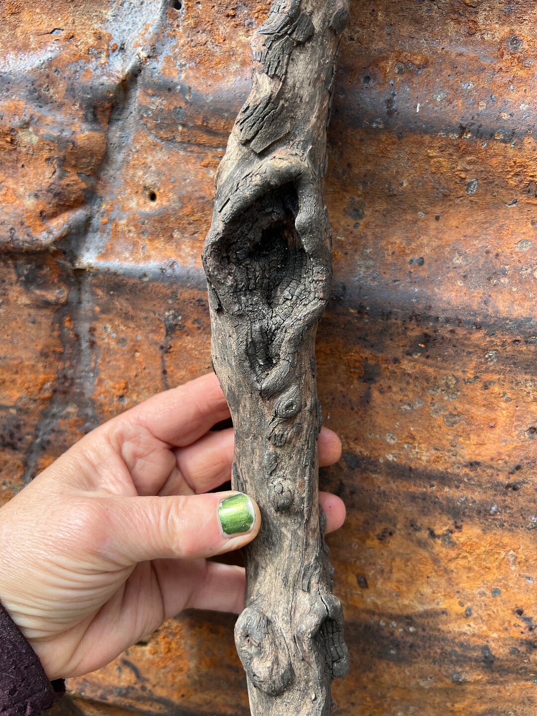 Madrone Wood, 15.5 Inches, Art Wood, Sacred Wood , Pacific Madrone ...