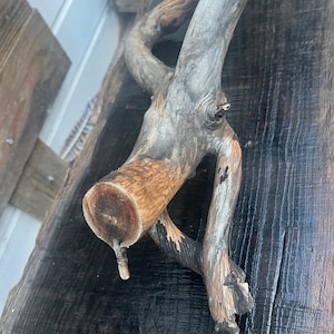 Infinity Madrone Wood, Art Sculpture Wood, Portal Wood, Sacred Wood ...