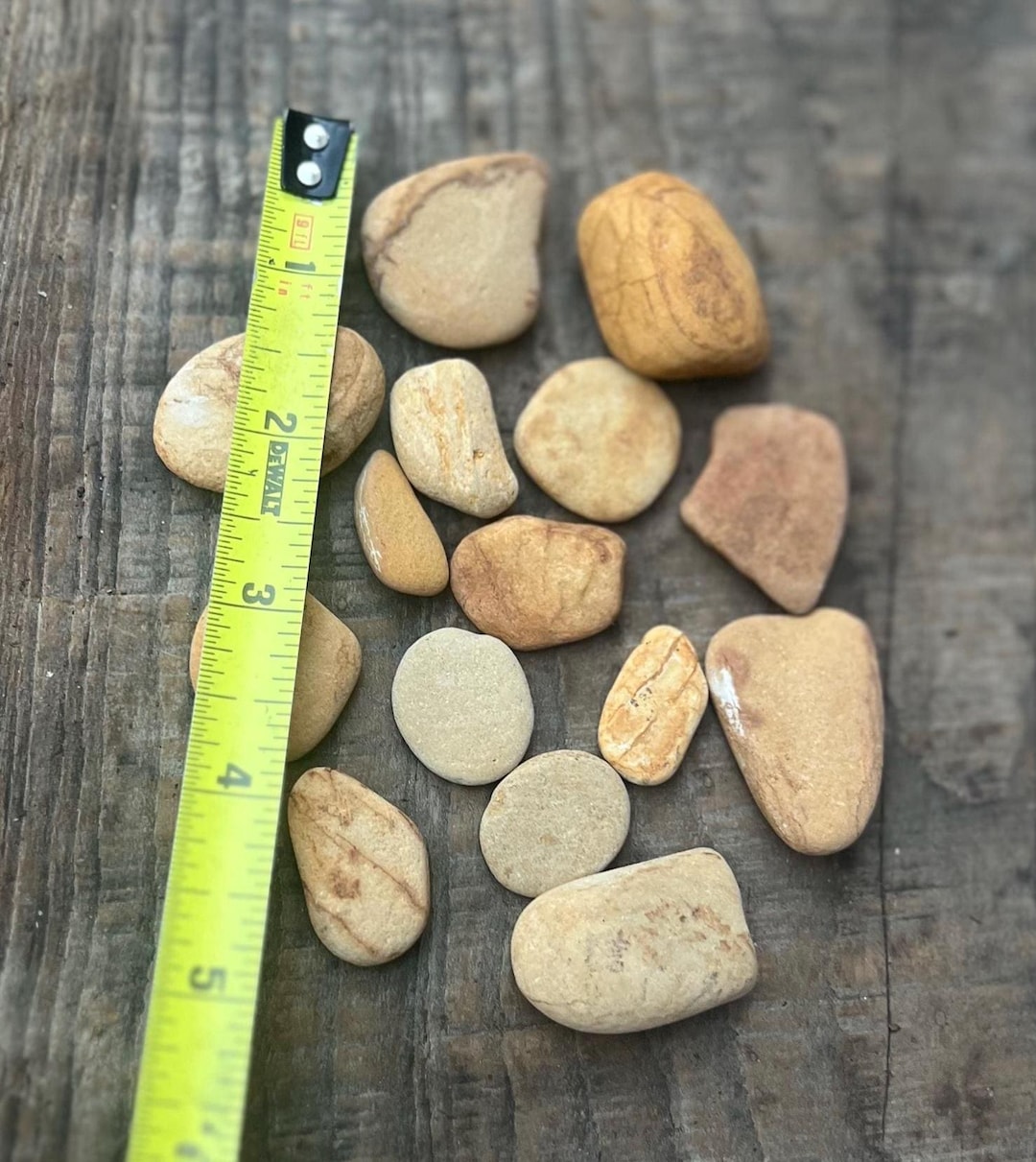 15 Pieces,sandstone Lot, California Sandstone, Ocean Sandstone, Pacific ...