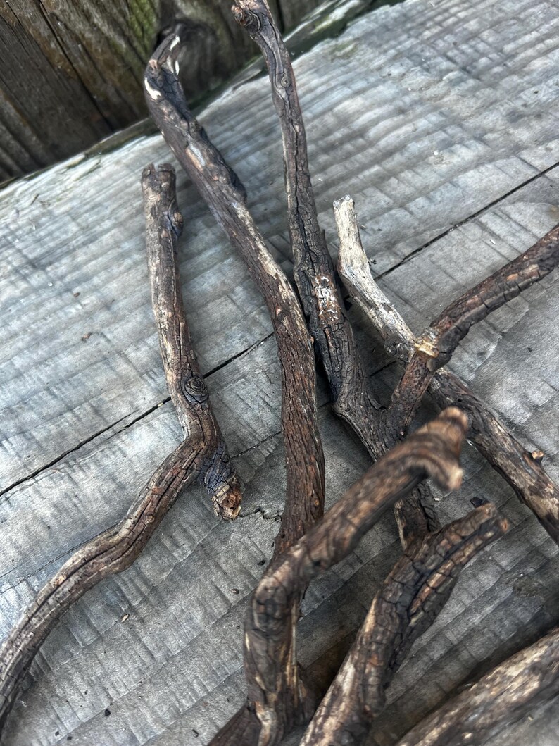 Four Madrone Wood Branches, Curved Sticks, Curved Art Wood, Curved ...