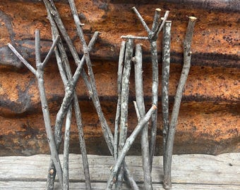 Oak, Forked and Straight Coast Live Oak Sticks , Sacred Wood Sticks ...