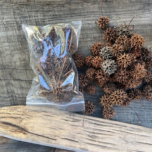 20 Witches Burrs, Sweet Gum Seed Pods, Nature Crafting - Etsy