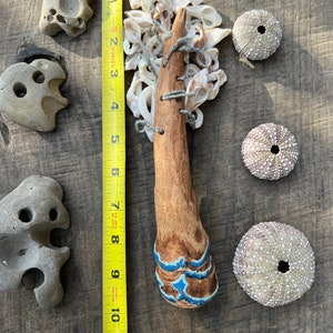 Sounder.ocean Rattle, Driftwood Shell Rattle, Sound Healing, California ...