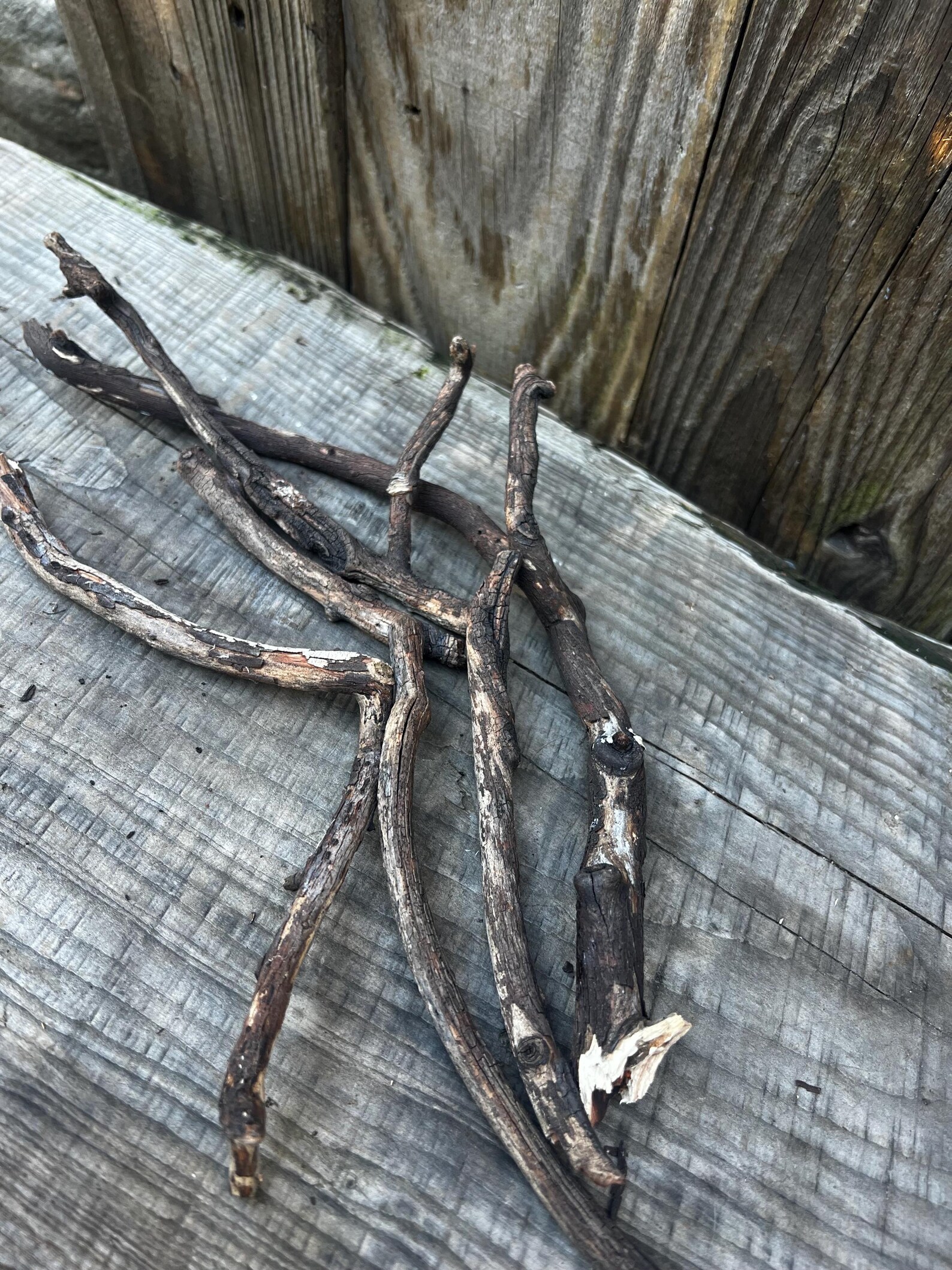 Four Madrone Wood Branches, Curved Sticks, Curved Art Wood, Curved ...
