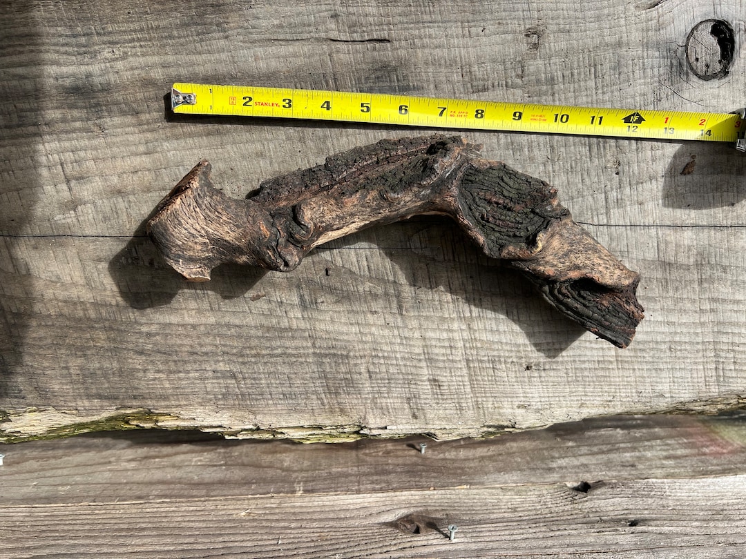 Thick Madrone Wood, 13 1/4 Inches Art Wood, Curved Branch, Sacred Wood ...