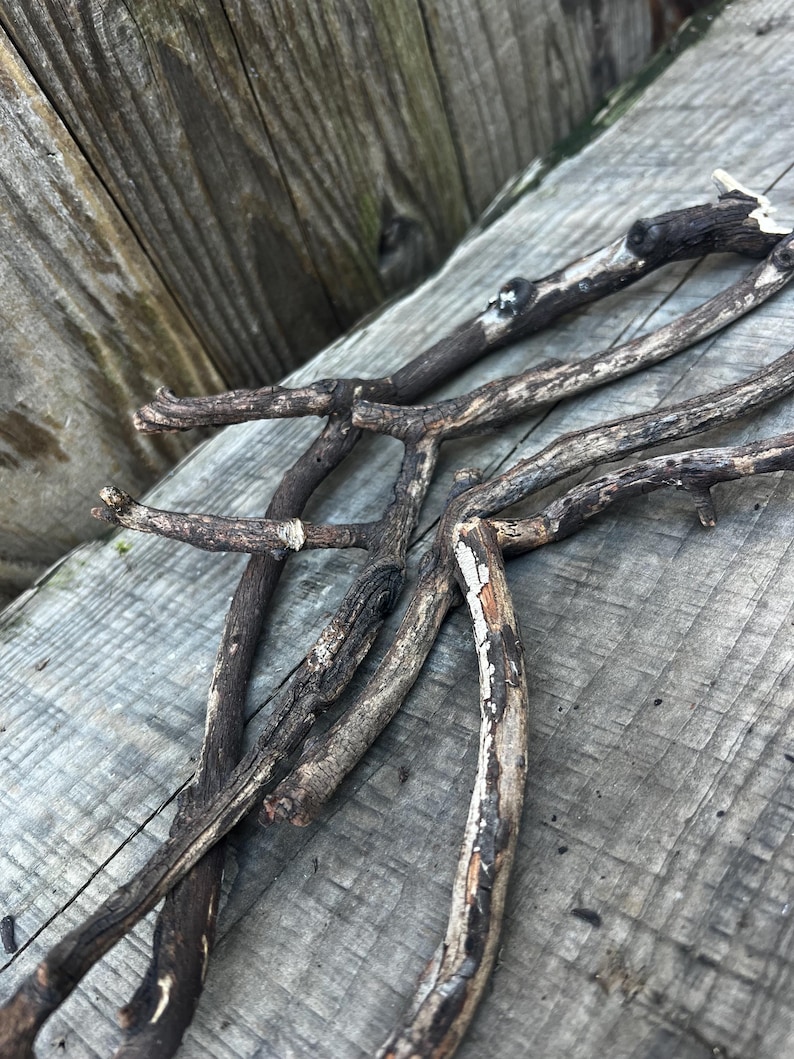 Four Madrone Wood Branches, Curved Sticks, Curved Art Wood, Curved ...