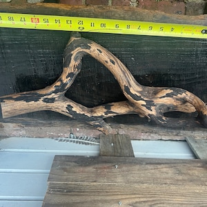 Infinity Madrone Wood, Art Sculpture Wood, Portal Wood, Sacred Wood ...