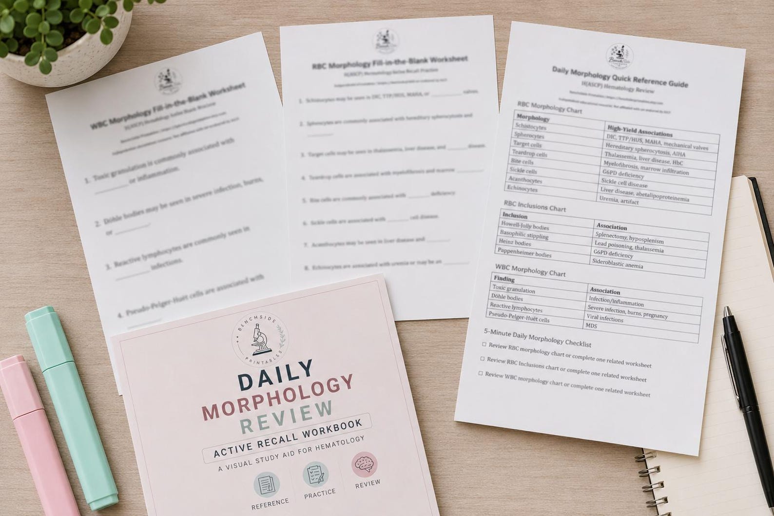 H(ASCP) Morphology Active Recall Workbook | Hematology Study Guide ...