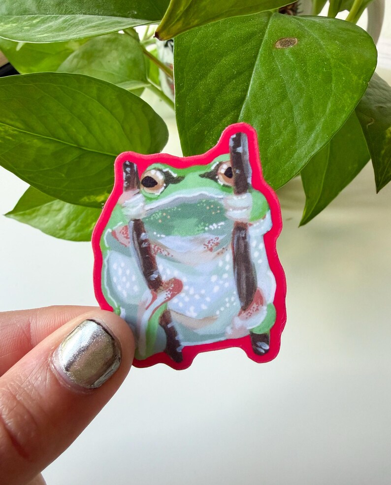 Frog Sticker – Water Resistant Laminated Vinyl Laptop Decal - Etsy
