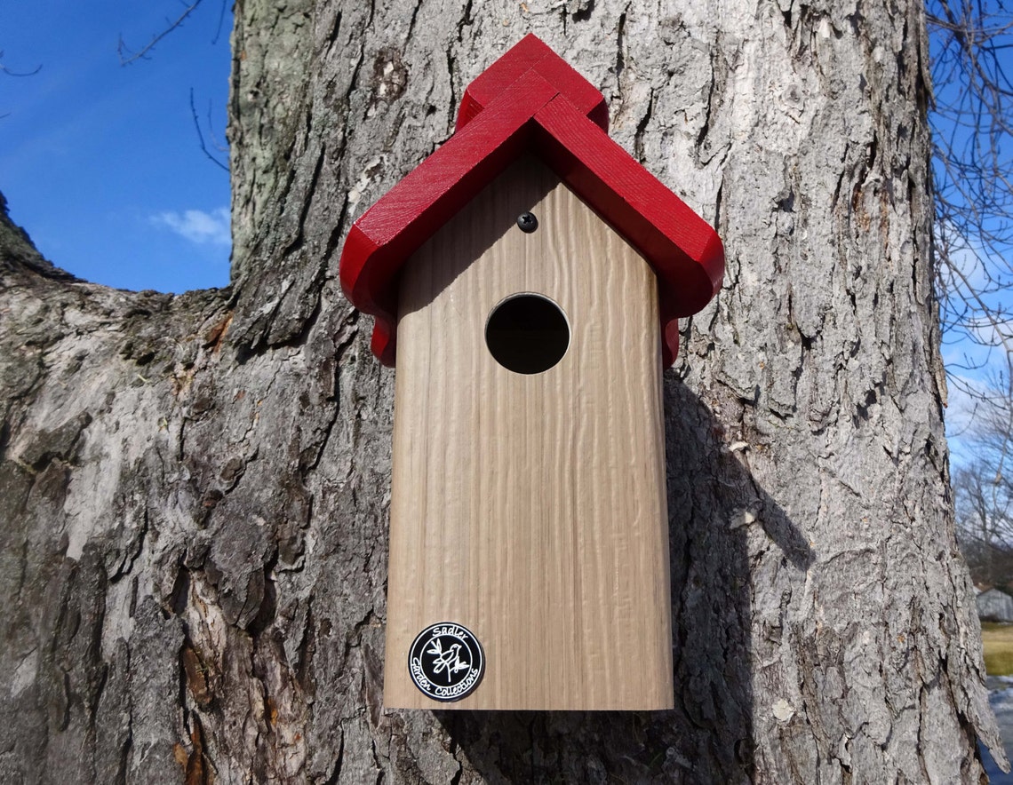 Modern Bluebird House PVC Cedar Bird House Fully Functional - Etsy