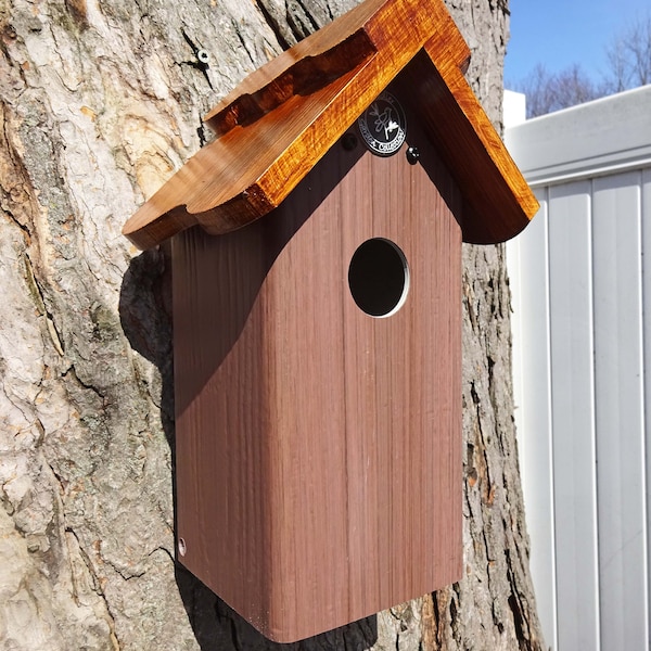 Pvc Bluebird House - Etsy