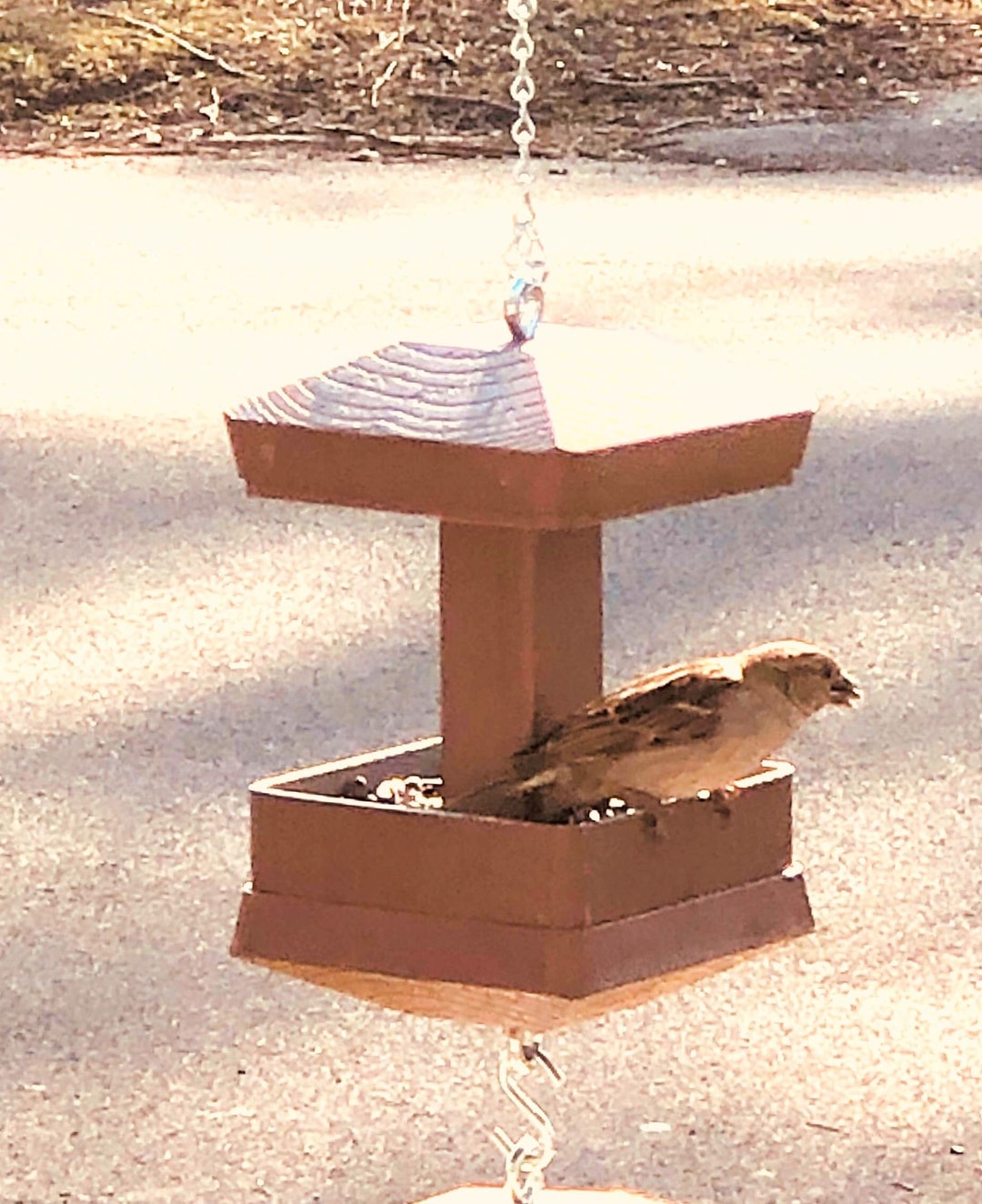 Hanging PVC Bird Feeder: Open Tray, Open All Sides- Weatherproof ...