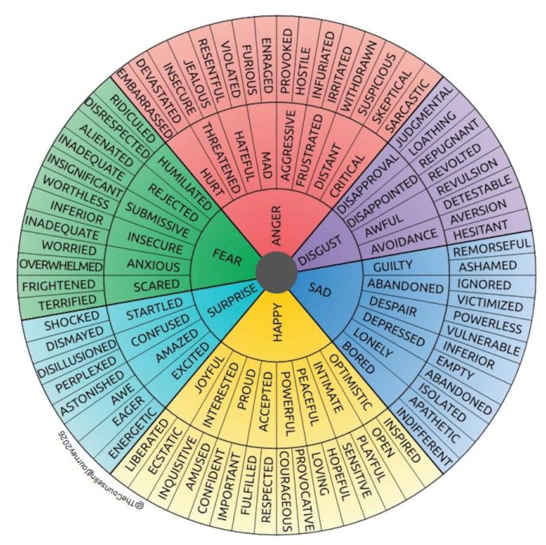 Emotion Sensation Wheel Printable PDF - Etsy