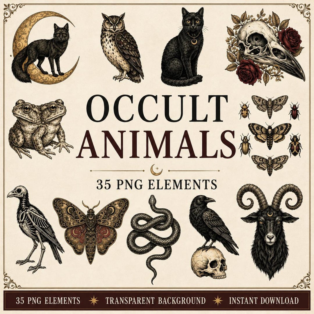 Occult Animal Clipart PNG Bundle, Gothic Illustrations, Vintage Witchy ...