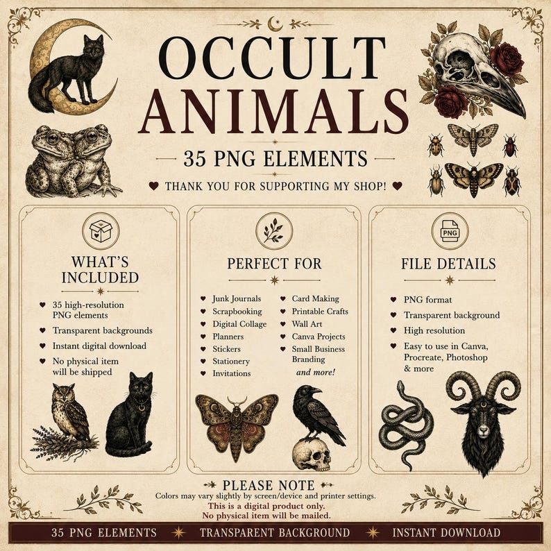 Occult Animal Clipart PNG Bundle, Gothic Illustrations, Vintage Witchy ...