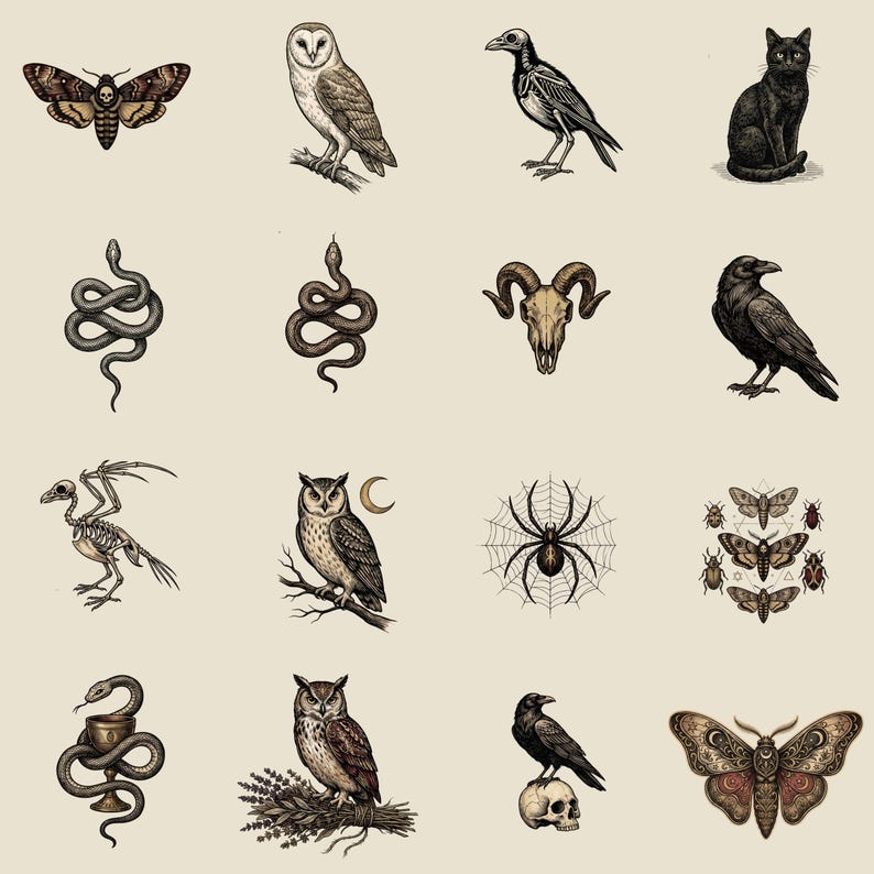 Occult Animal Clipart PNG Bundle, Gothic Illustrations, Vintage Witchy ...