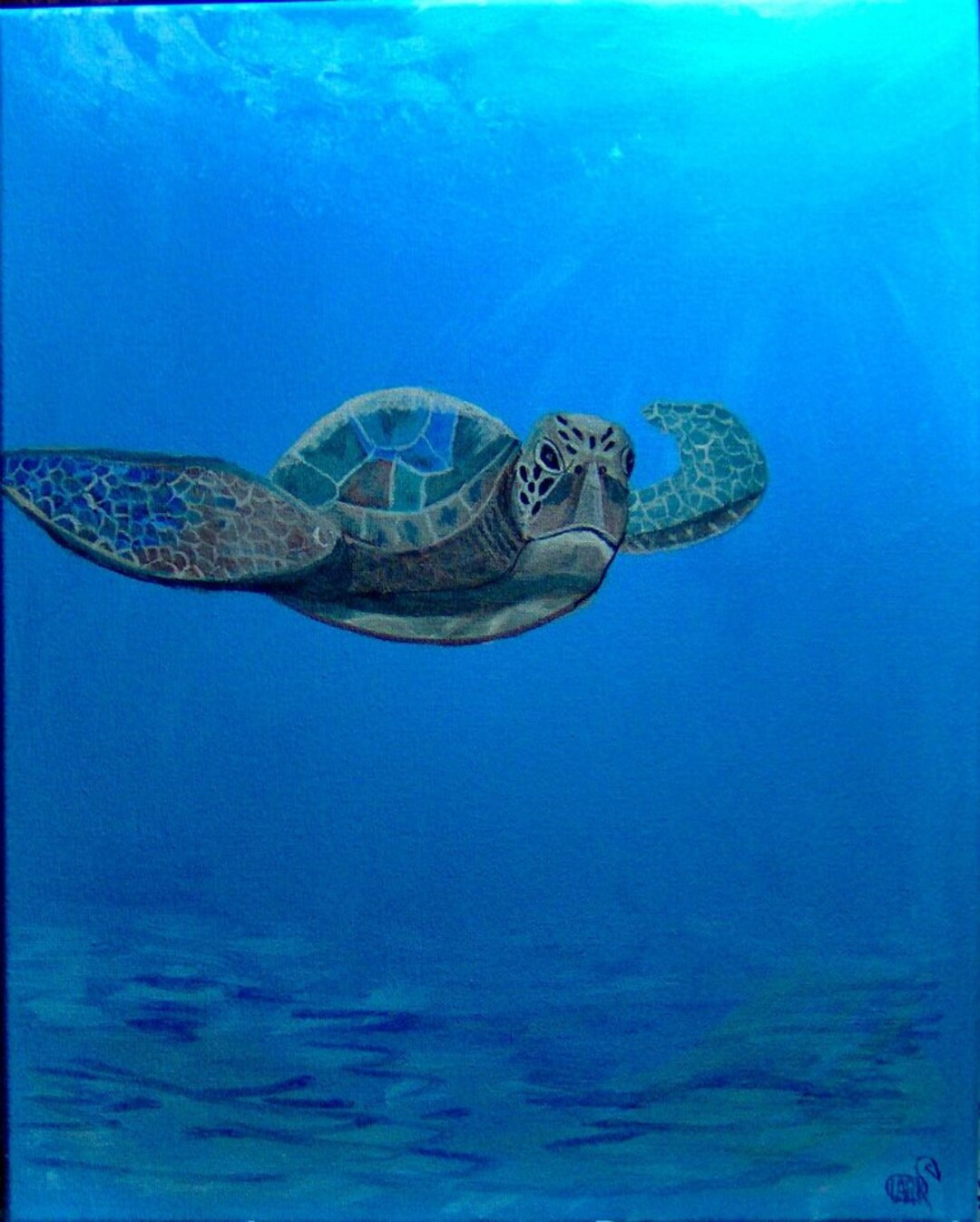 Sea Turtle in the Ocean - Etsy