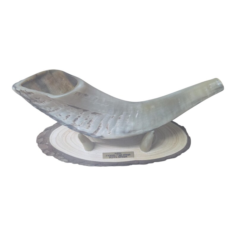 Custom Ram Shofar, Rustic Wood Stand, Kudu Horn Tips, Personalized ...
