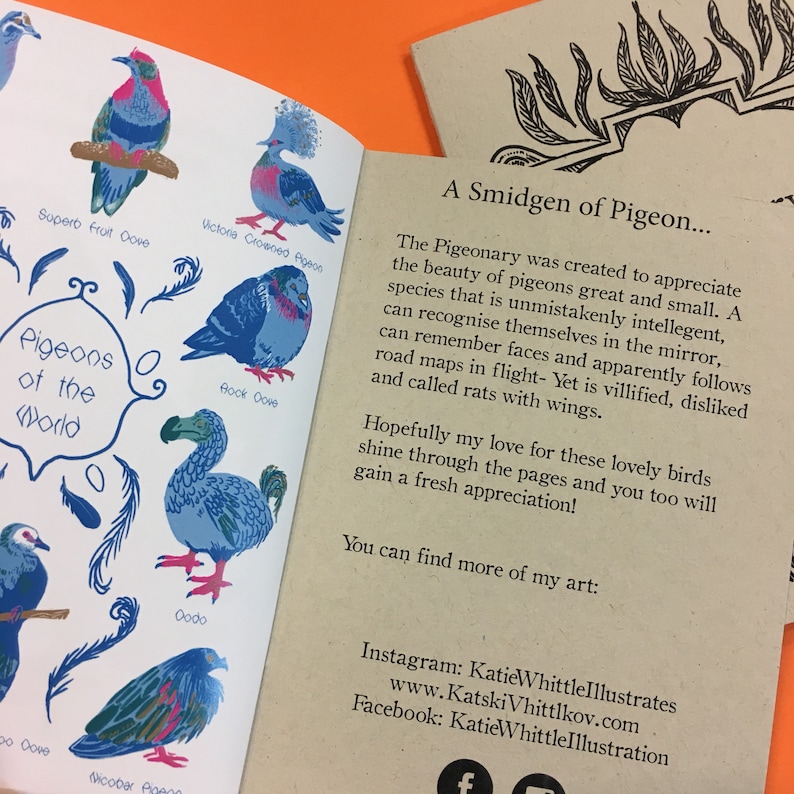 Pidgeonary a Pigeon Appreciation Book Pigeon Gifts Zine | Etsy UK