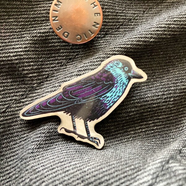 Jackdaw - Etsy