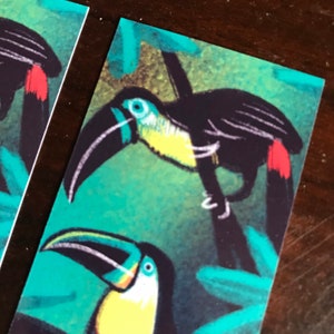 More Than Toucan Tango! Bookmark- 52x148mm- Book Accessories, Book ...