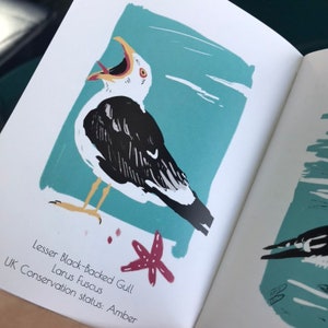 Seagulls: A Cliff Note, a Gull Conservation Zine. Bird Art, Art Book ...