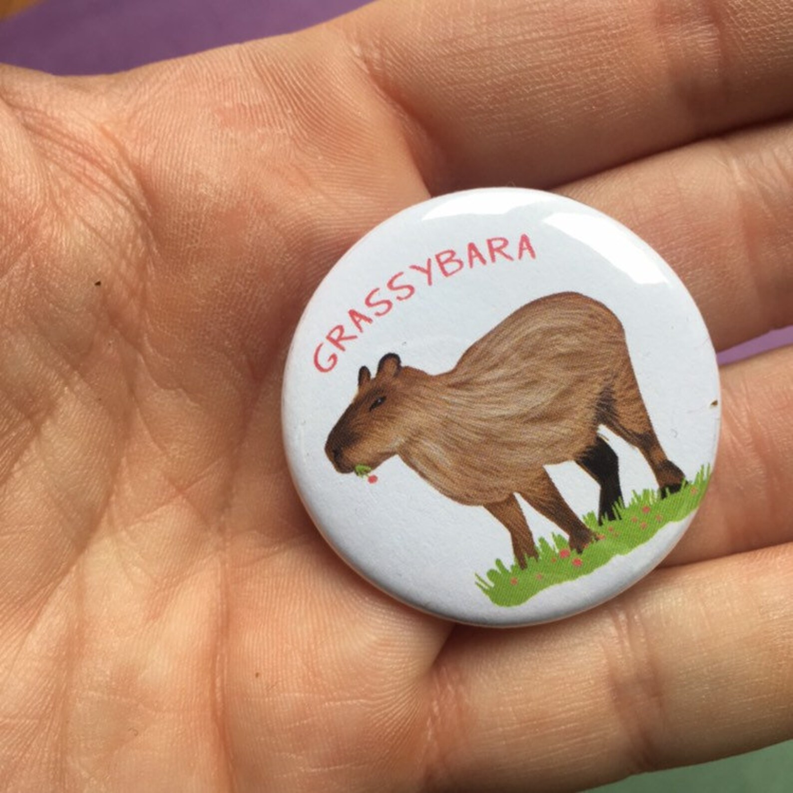Cute 38mm Capybara badge set guinea pig lover cute pins | Etsy