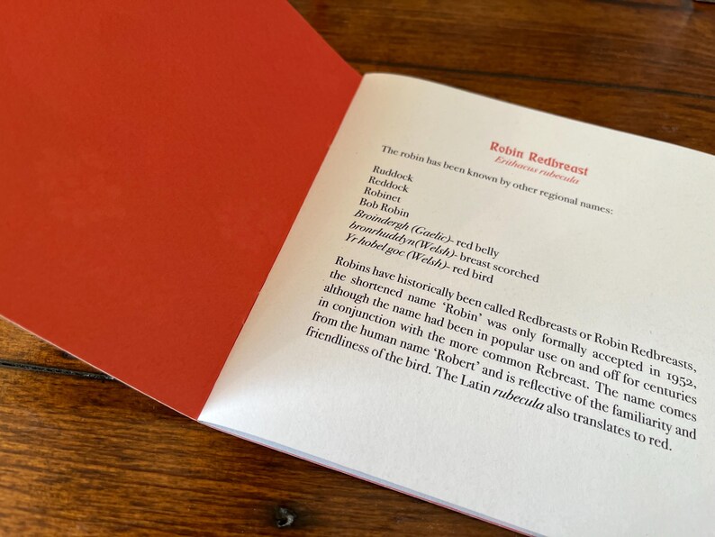 Redbreast- the Folklore of Robins- Small Bird Zine- Full Colour, Robin ...