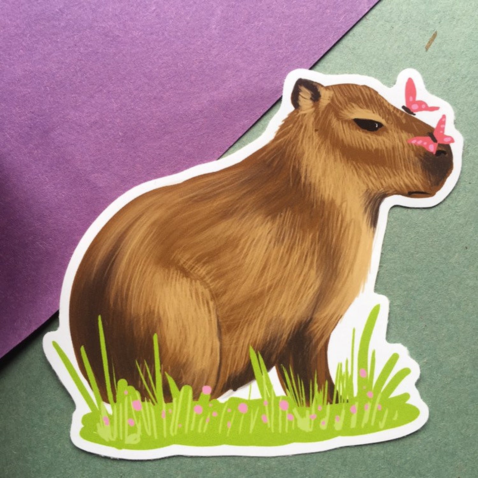 Capybara 10cm Vinyl Sticker Set Guinea Pig Lover, Gift Set, Laptop ...