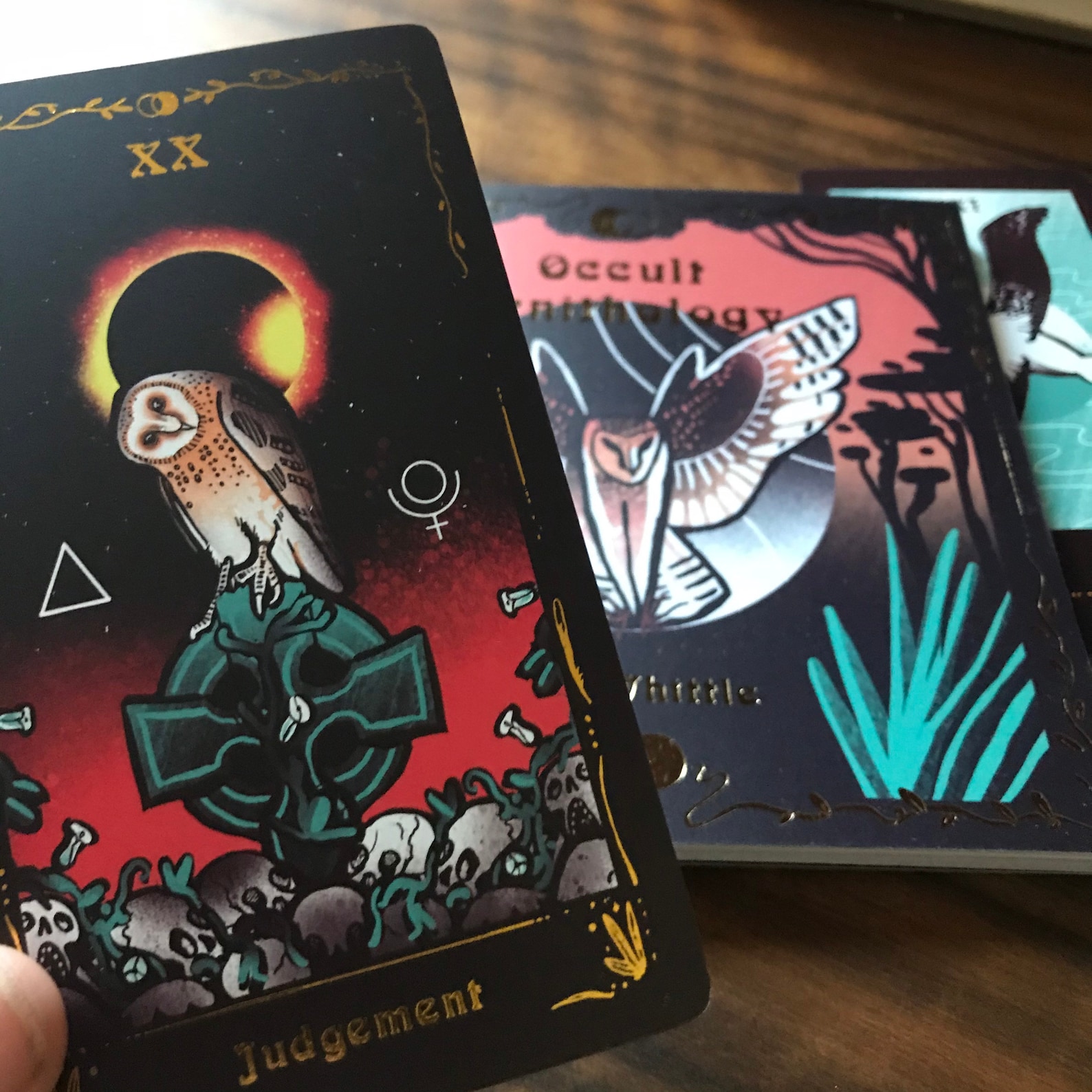 Occult Ornithology Tarot Deck and Guide Majors Only Deck - Etsy