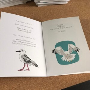 Seagulls: A Cliff Note, a Gull Conservation Zine. Bird Art, Art Book ...