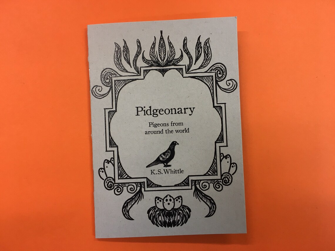 Pidgeonary a Pigeon Appreciation Book Pigeon Gifts Zine | Etsy UK