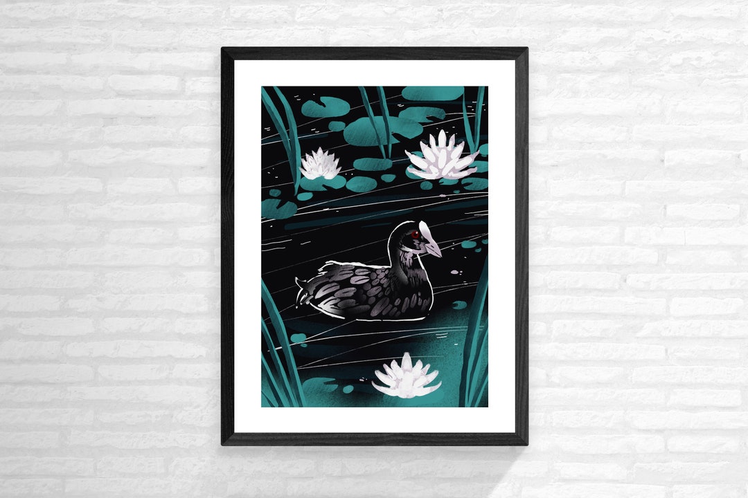 Eurasian Coot A5 (5.7x8.1 Inches) Art Print- British Bird Watchers ...